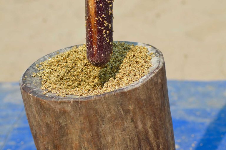 Namibian Food: 15 Popular & Traditional Dishes to Try