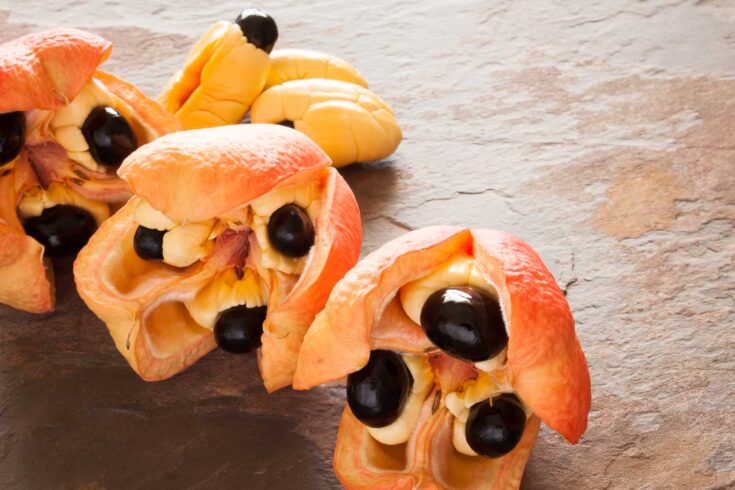 13 Weird Fruits that Will Blow Your Mind