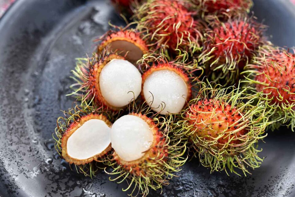13 Weird Fruits that Will Blow Your Mind