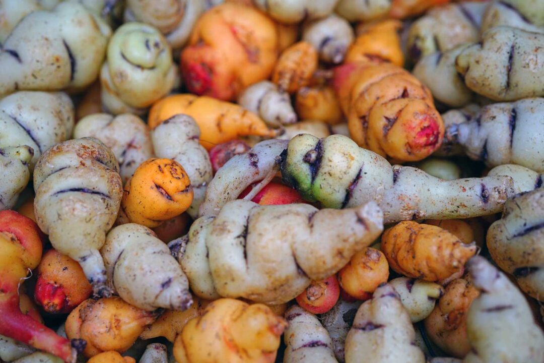 10 Weird Vegetables that Will Suprise You