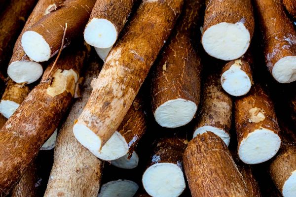 10 Weird Vegetables that Will Suprise You