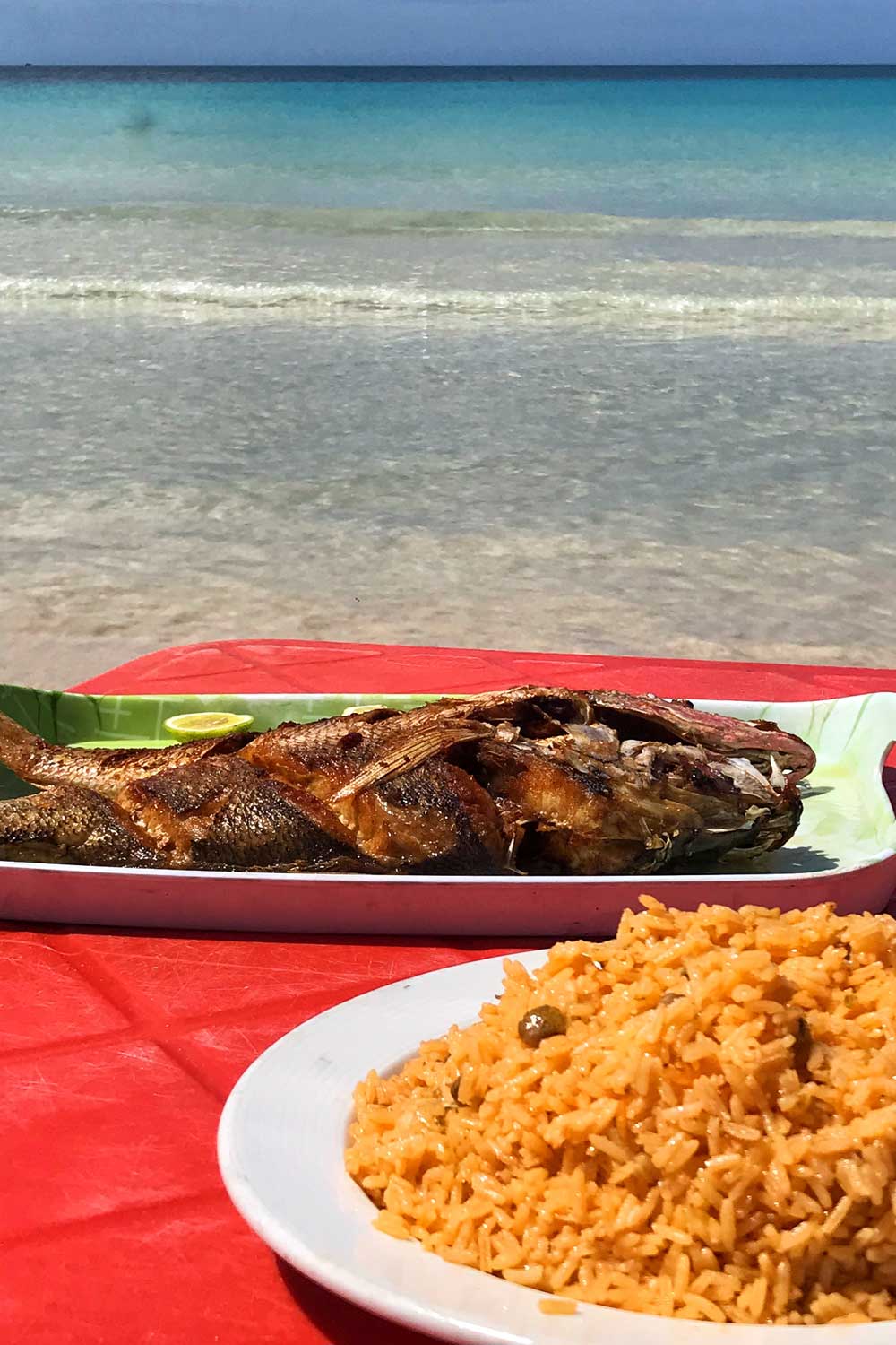 17 Dominican Foods You Need to Try