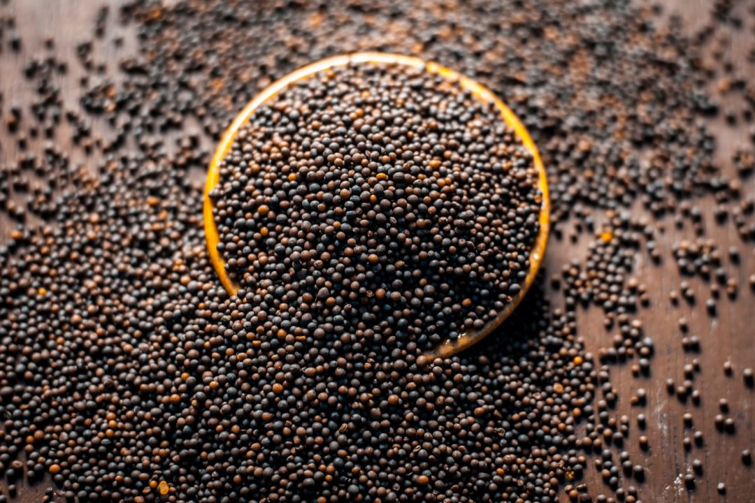 16 Indian Spices That Make the Dishes of India so Special - Nomad Paradise