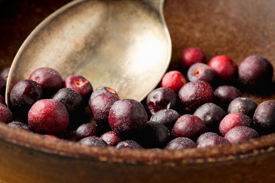 20 Indian Fruits and Vegetables You Need to Try