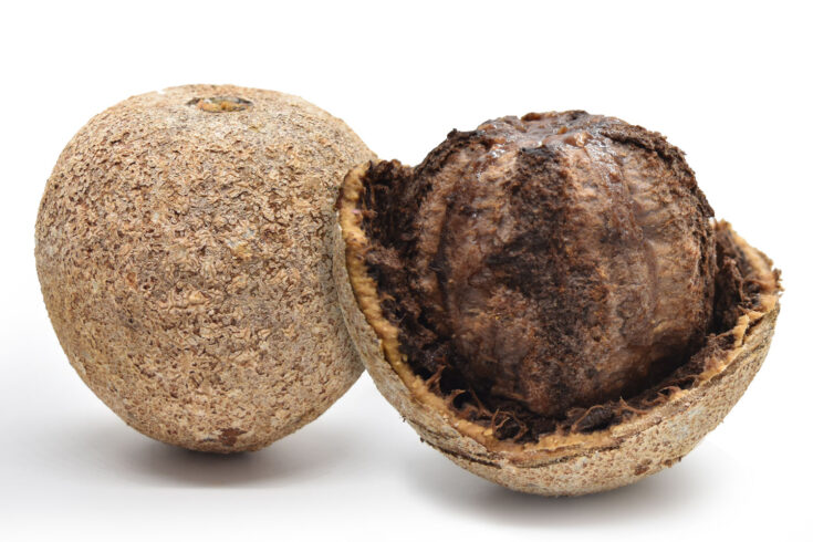 20 Indian Fruits and Vegetables You Need to Try