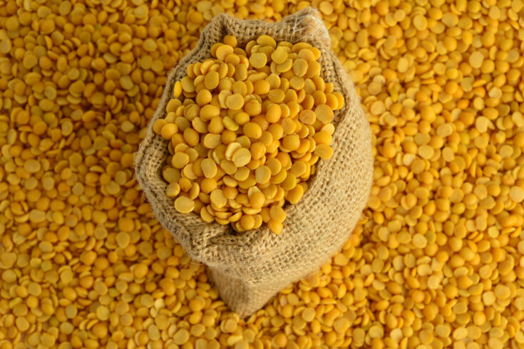 15 Types of Indian Dals You Should Try: A Guide to Dals and Dishes Used In