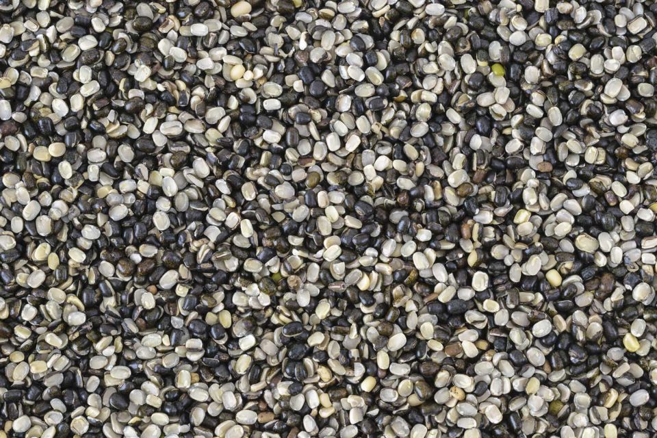 15 Types of Indian Dals You Should Try: A Guide to Dals and Dishes Used In