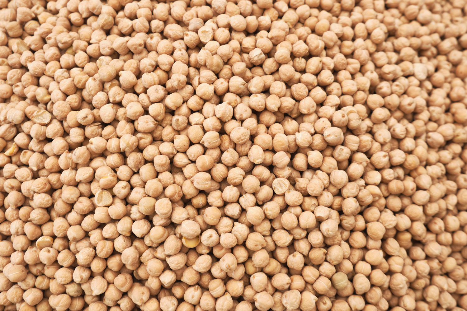 15 Types of Indian Dals You Should Try: A Guide to Dals and Dishes Used In