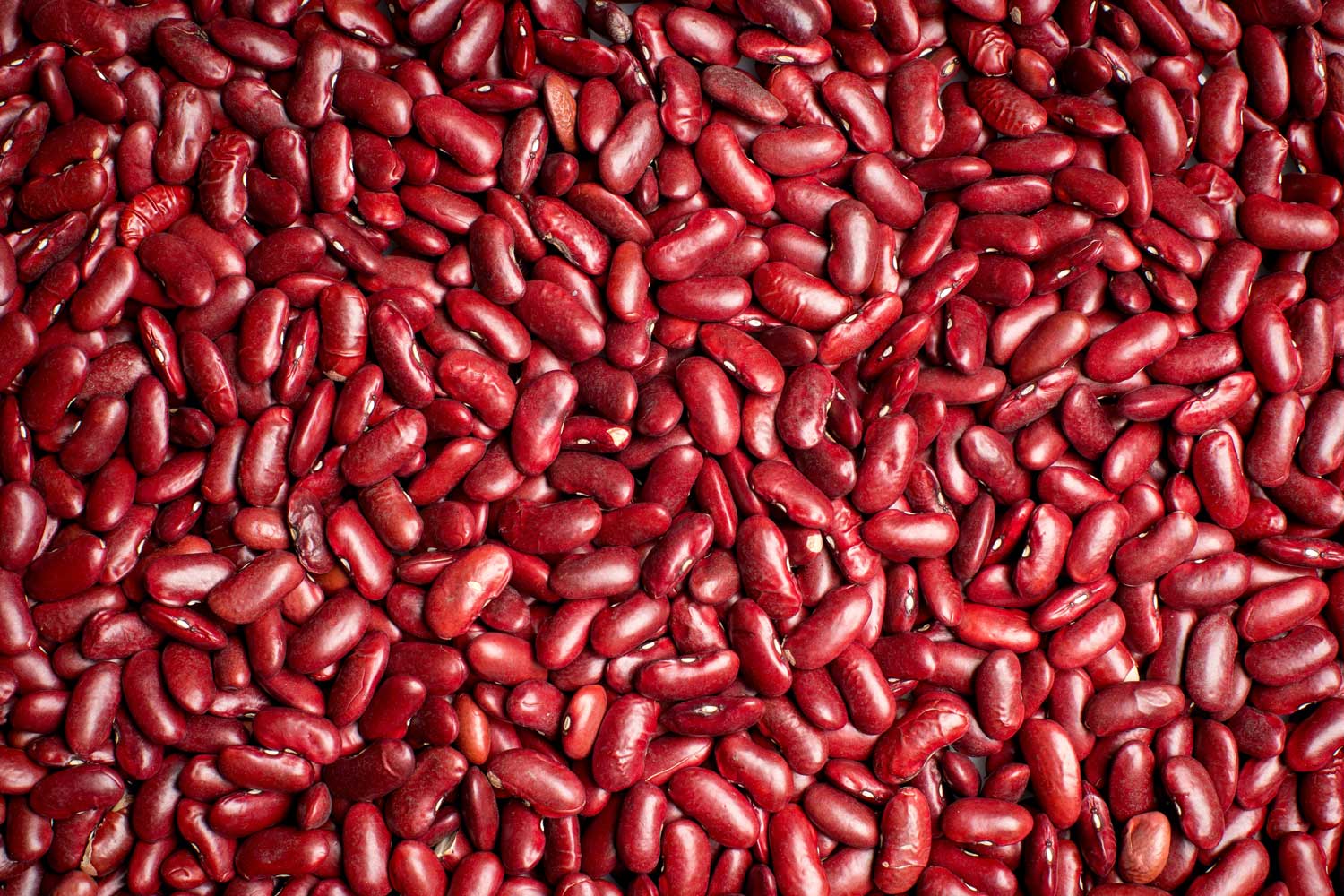 15 Types of Indian Dals You Should Try: A Guide to Dals and Dishes Used In