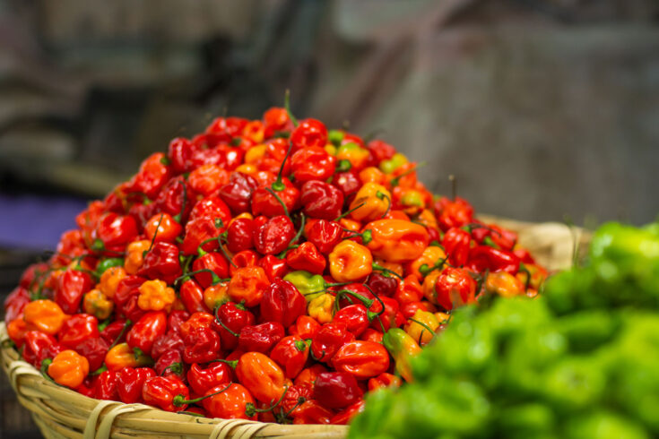 Mexican Spices - 21 Chilies, Seeds, Herbs, and Salts that Add the Wow ...