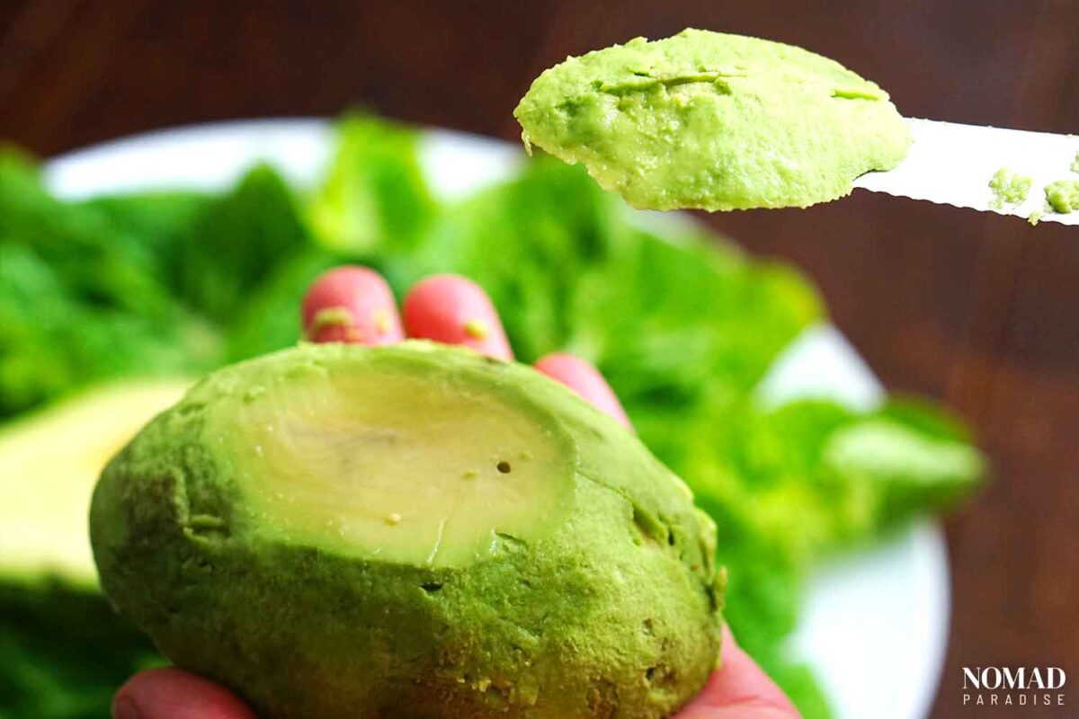 Latin American Stuffed Avocado (Palta a la Reina/Palta Rellena) Recipe