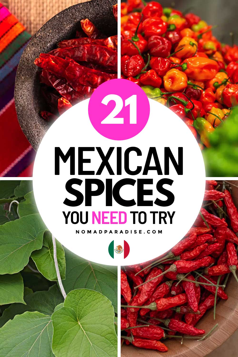 Mexican Spices - 21 Chilies, Seeds, Herbs, and Salts that Add the Wow Factor to Mexican Food